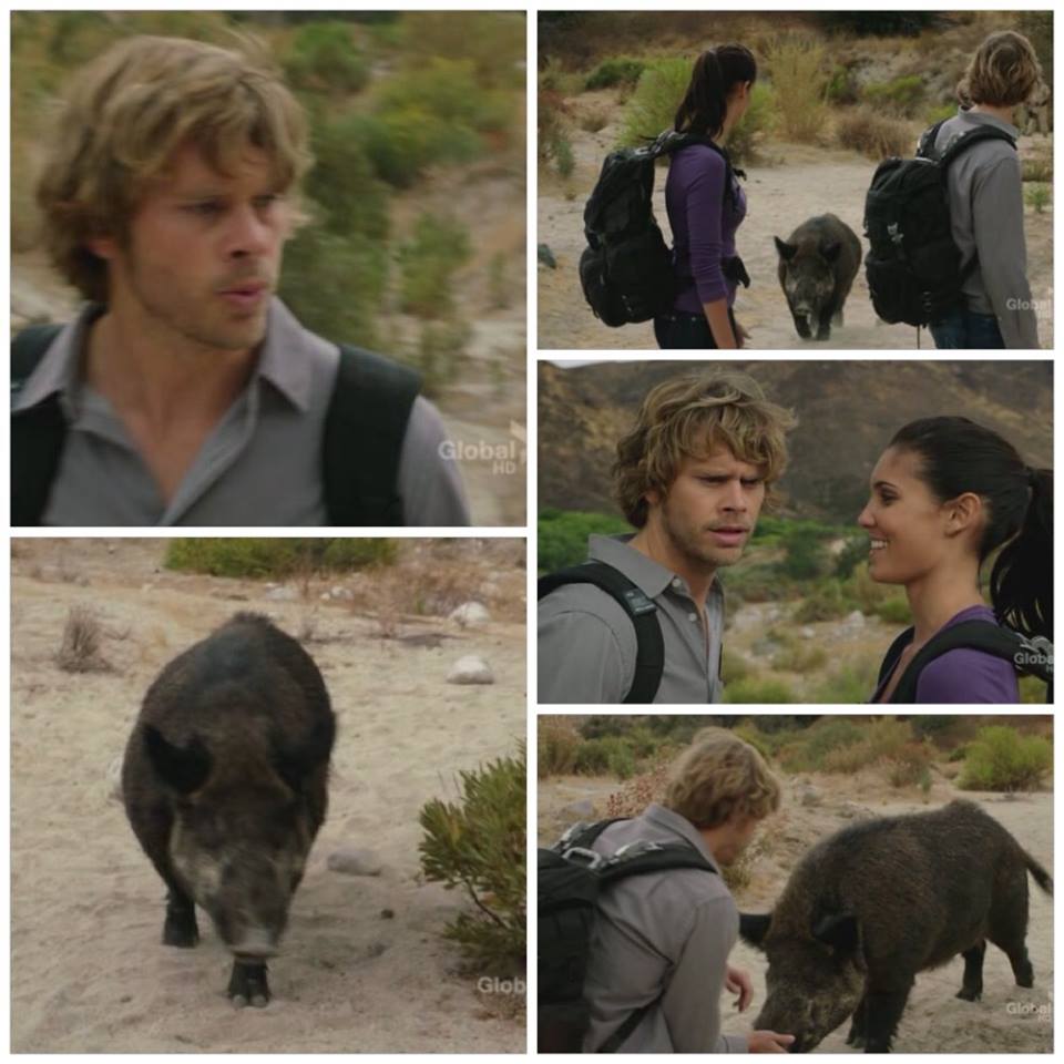 Decidedly Deeks: Deeks and the Desert | NCISLA Magazine